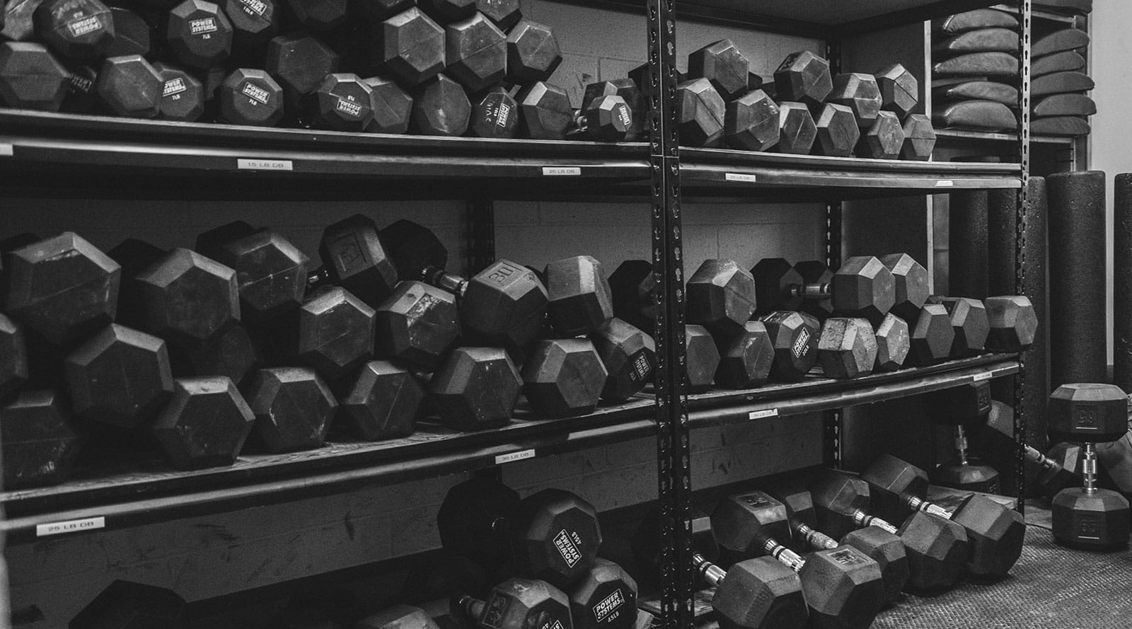 Dumbbells and Boxes - Fit2Live